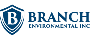 MOLD ON INTERIOR WALLS? 16 IMPORTANT THINGS YOU NEED TO KNOW - Branch ...